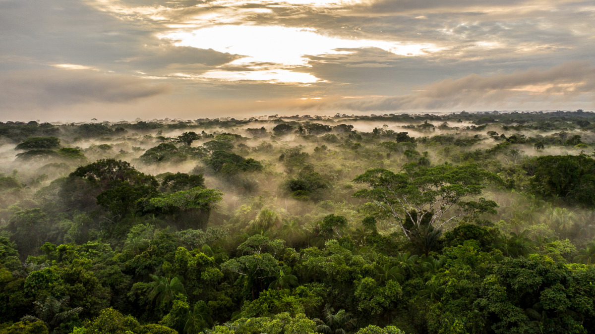 Expedition to Araracuara Canyon: the heart of Amazonas - Adventure Colombia
